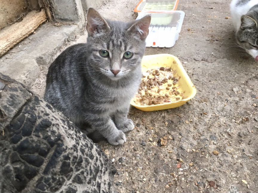 Спасите меня