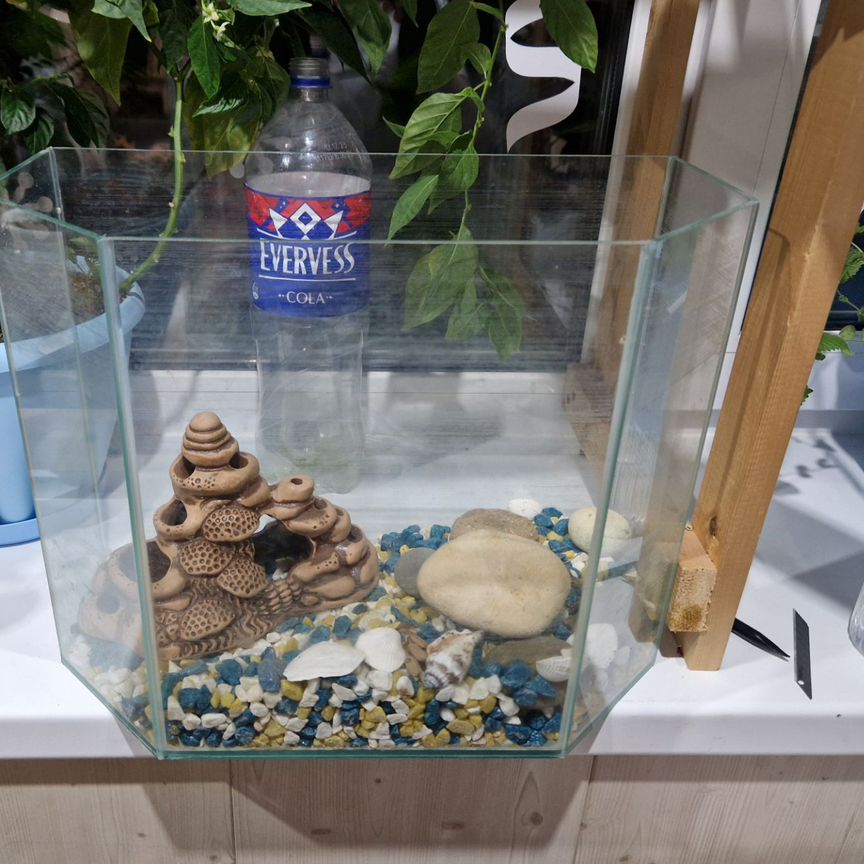 Аквариум 15 литров