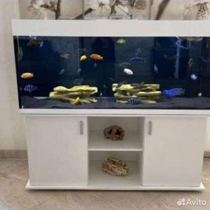 Аквариум 1000 л террариумы черепашники