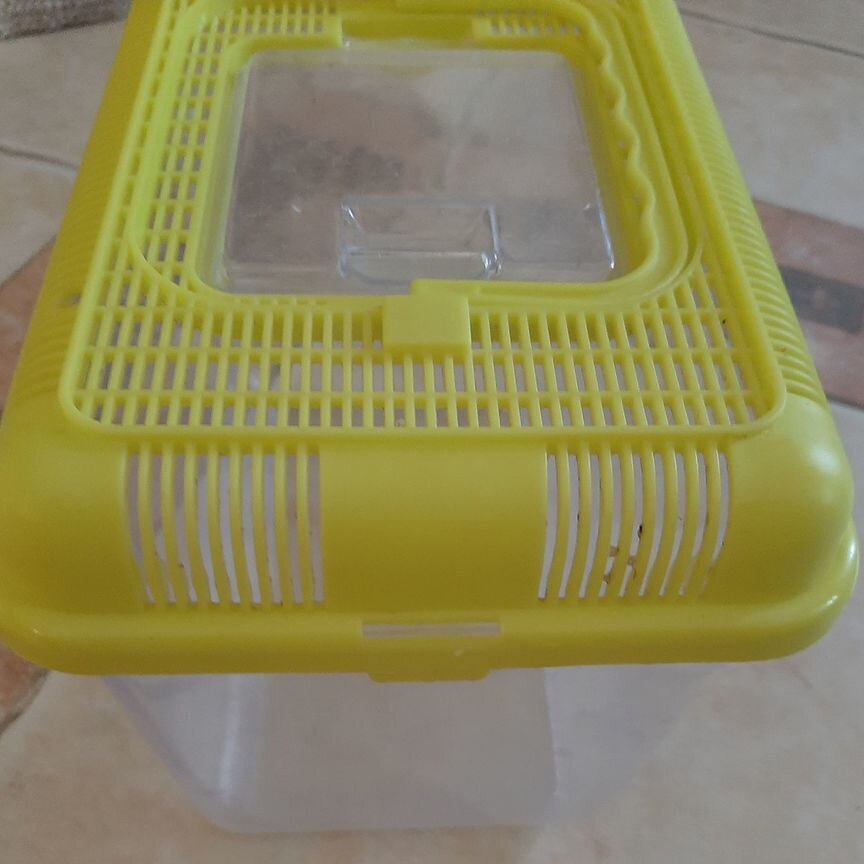 Контейнер для переноски мелких животных