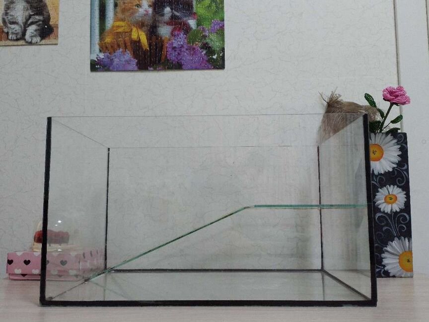 Аквариум для черепахи