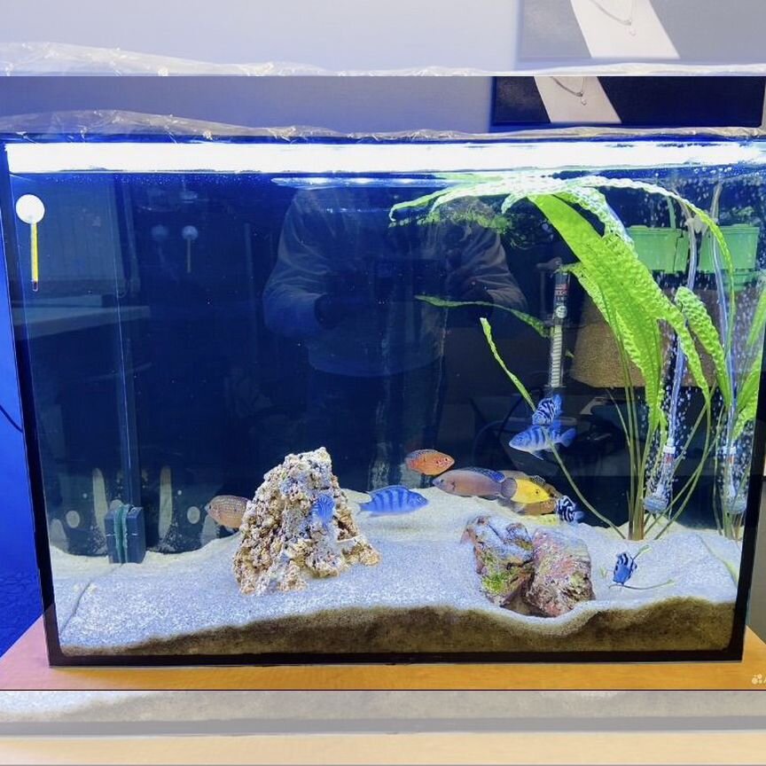 Аквариум на 100 литров