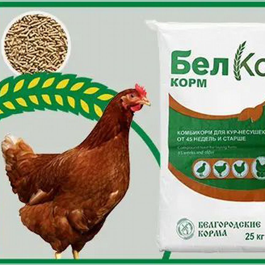 Комбикорм для цыплят