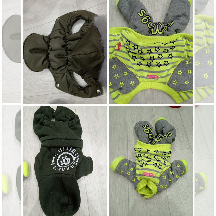 Вещи для маленьких собак