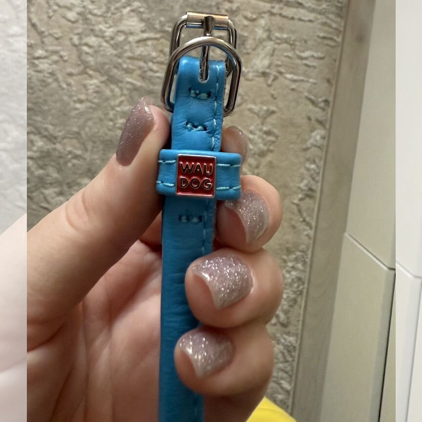 Ошейник для маленькой собаки