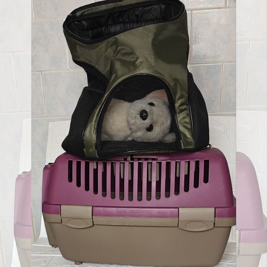 Переноска для животных