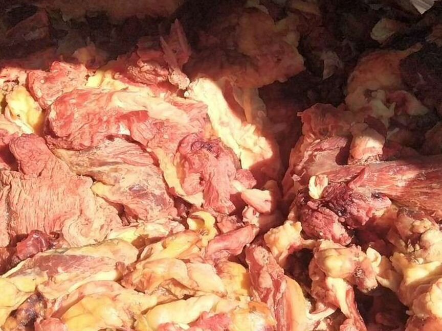 Мясо для собак