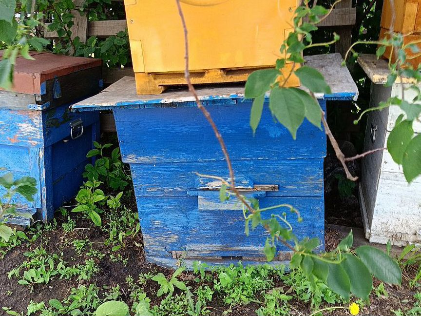 Улий для пчел бу