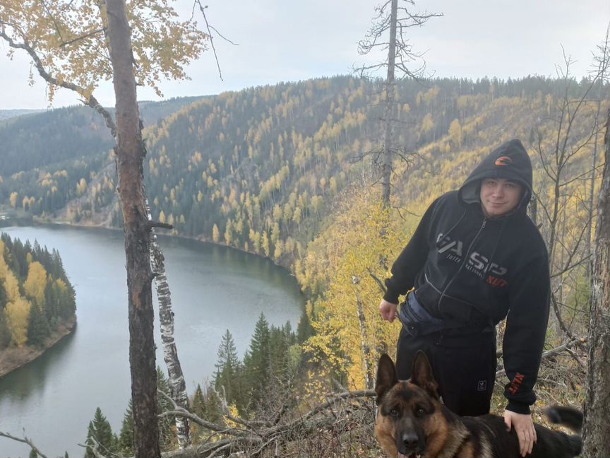 Немецкая овчарка вязка кабель 3 года