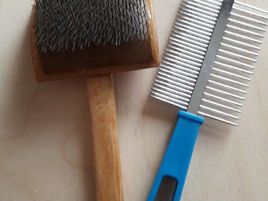 Чесалки для кошек и миска