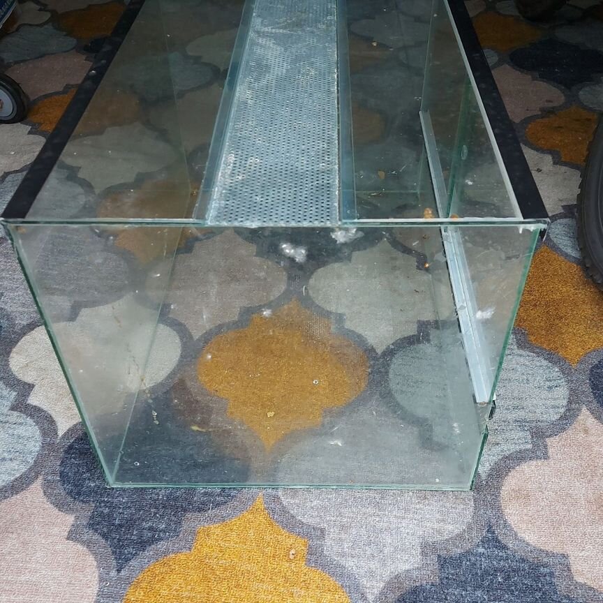 Аквариум и террариум