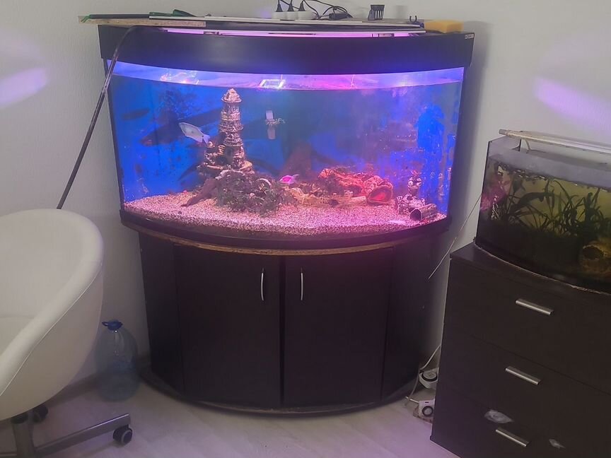 Аквариум угловой с тумбой