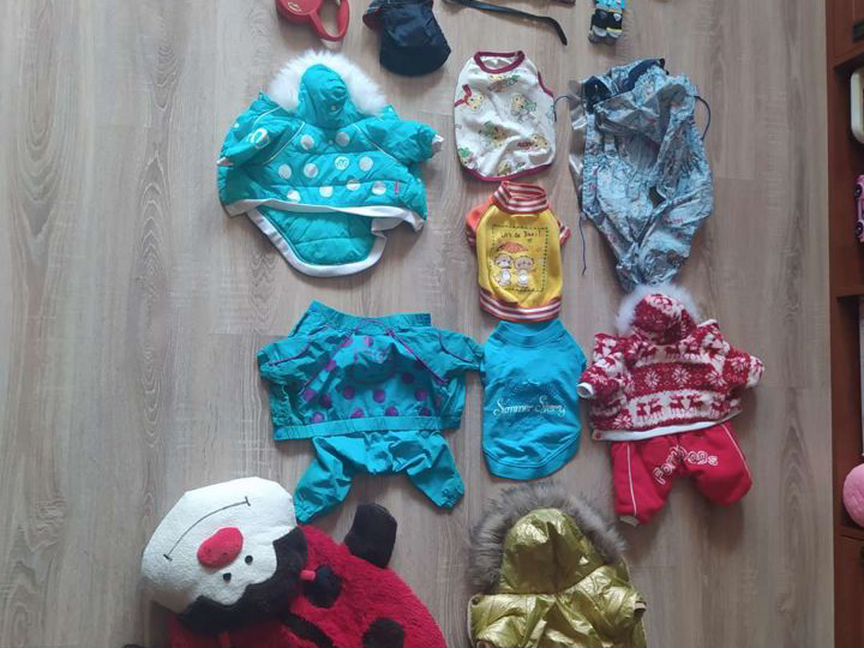 Одежда для собак мелких пород