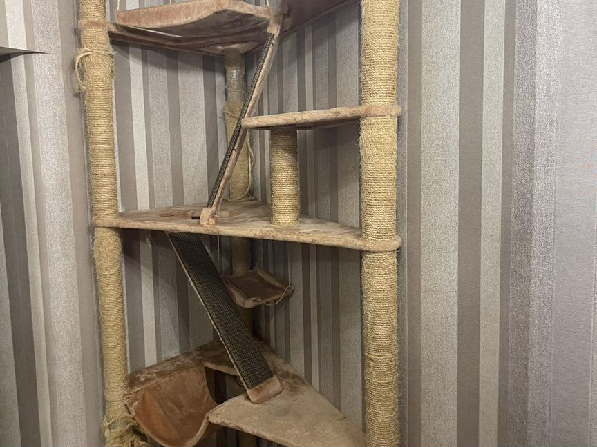 Дом когтеточка для кошки