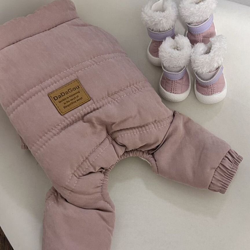 Одежда для собак