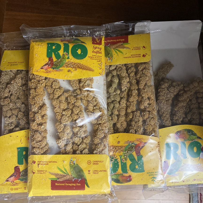 Сенегальское просо в колосьях