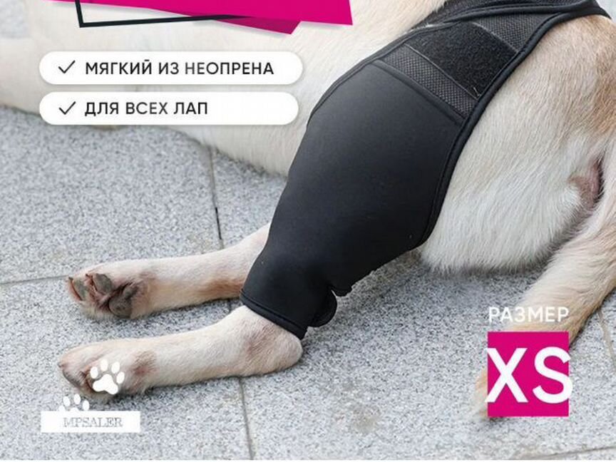 Фиксатор коленного сустава для собаки