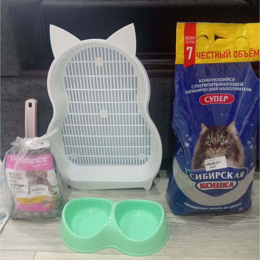 Лоток для кошек