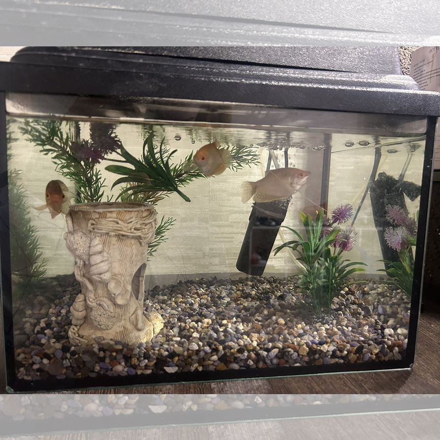 Аквариум 35 литров