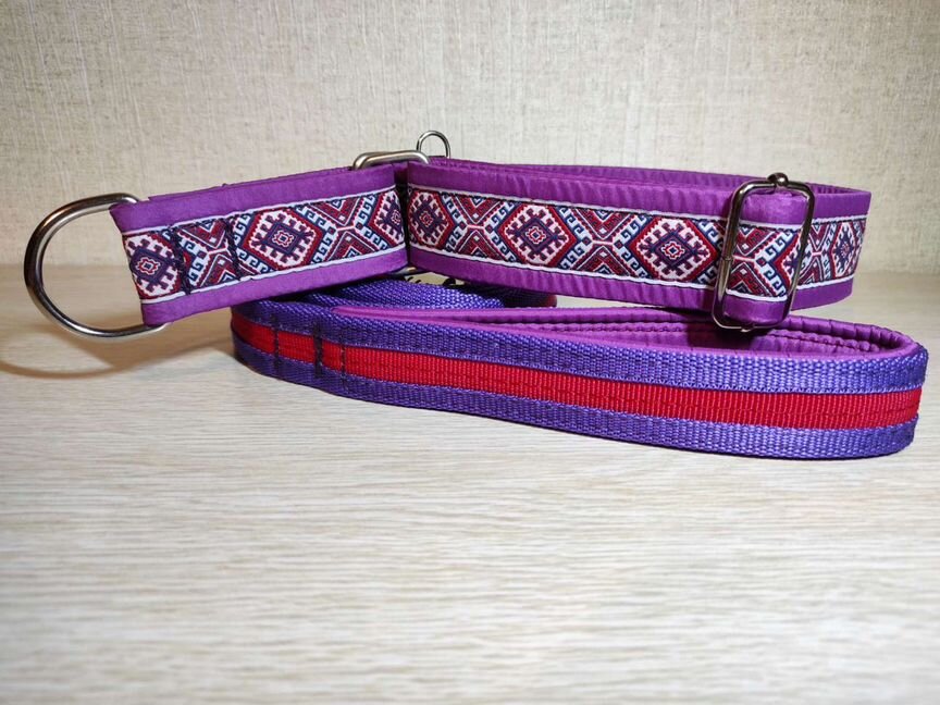 Амуниция для собак (ошейники, шлейки, недоуздки)