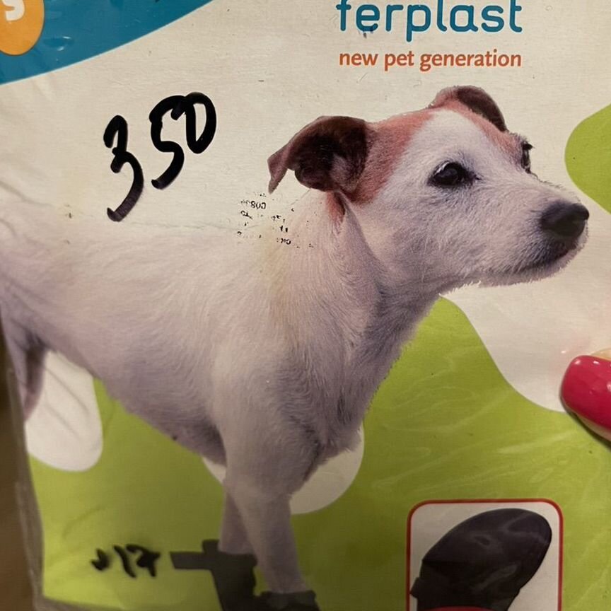 Обувь для собаки мелкой породы