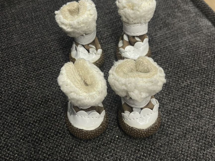 Ботинки для маленьких собак