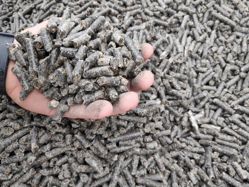 Жом свекловичный гранулированный