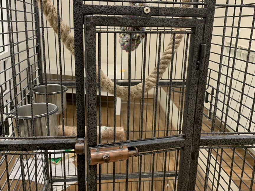 Вольер для попугаев крупной породы