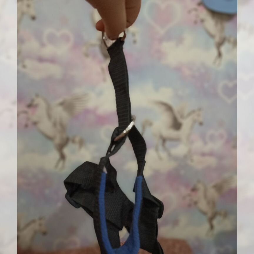 Амуниция для собак