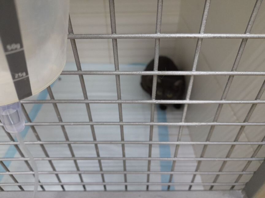 Остались в клинике некуда идти