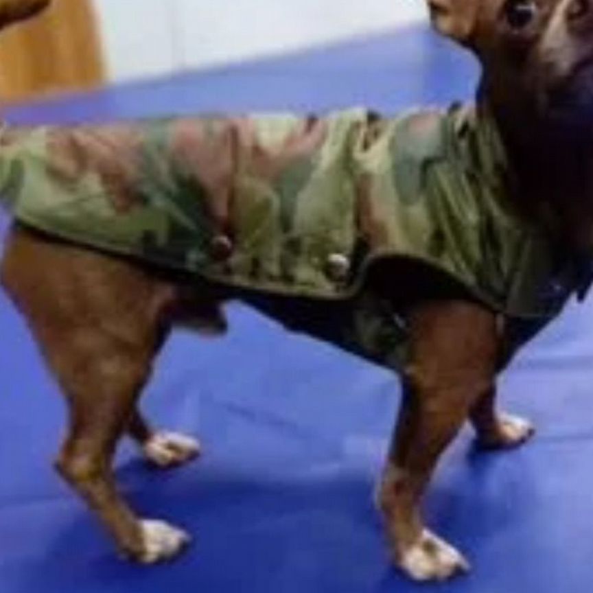 Попона утепленная