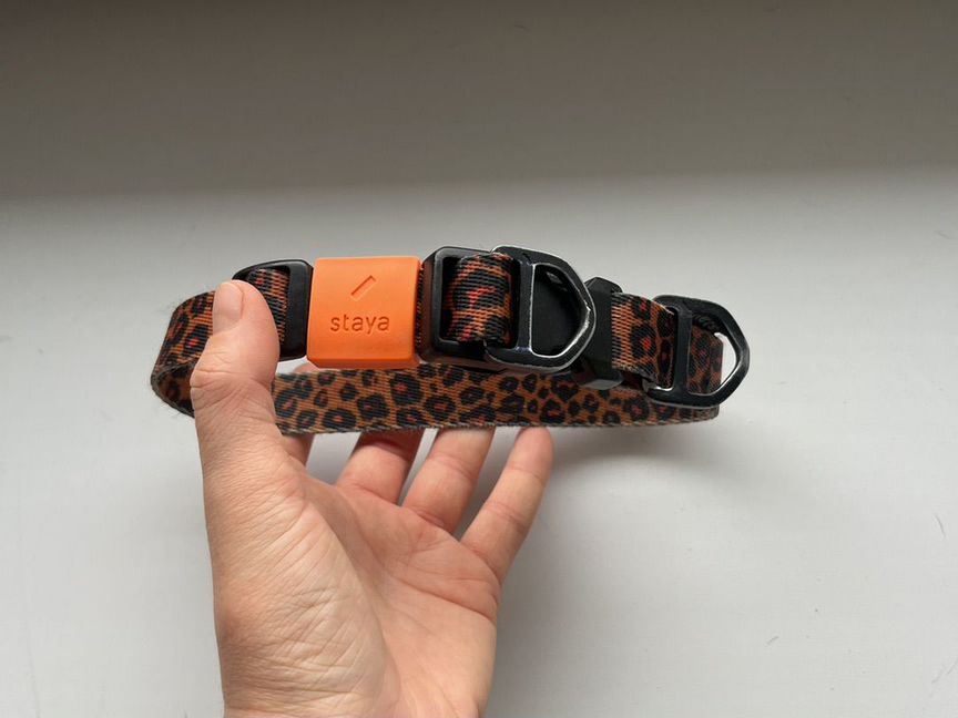 Ошейник staya