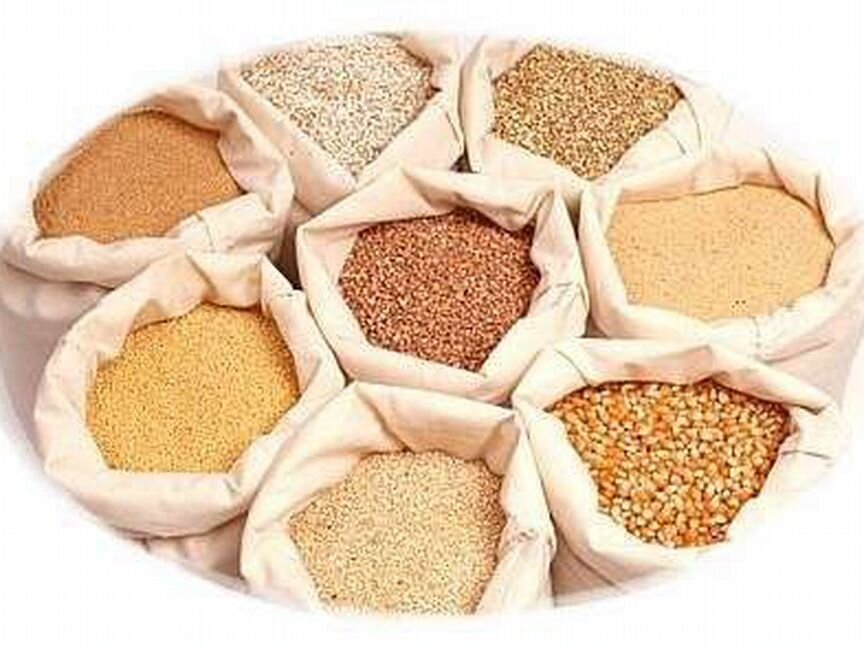 Пшеница. Кукуруза. Ячмень. Горчица. Семечка