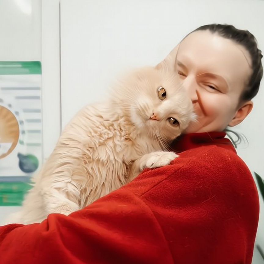 Взрослый кот в добрые руки