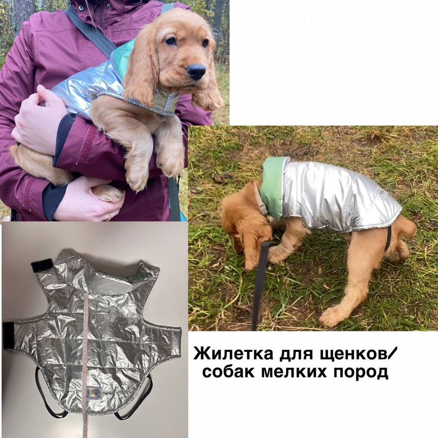 Желетка-попона для щенков/ собак мелких пород