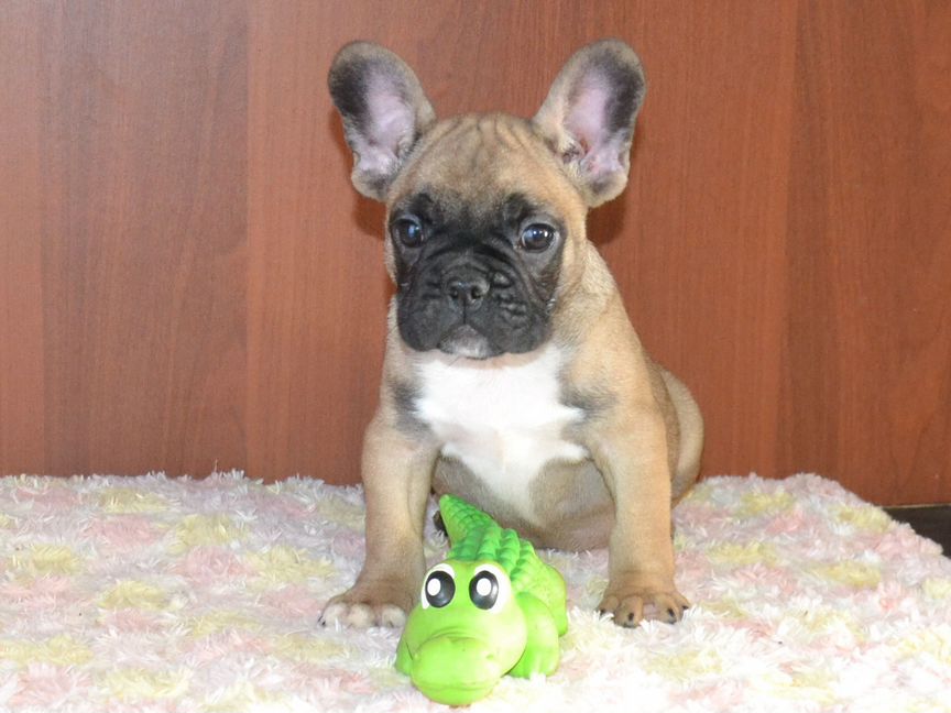 Очень нужен друг