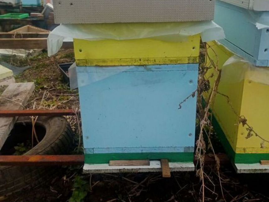 Продам ульи для пчел