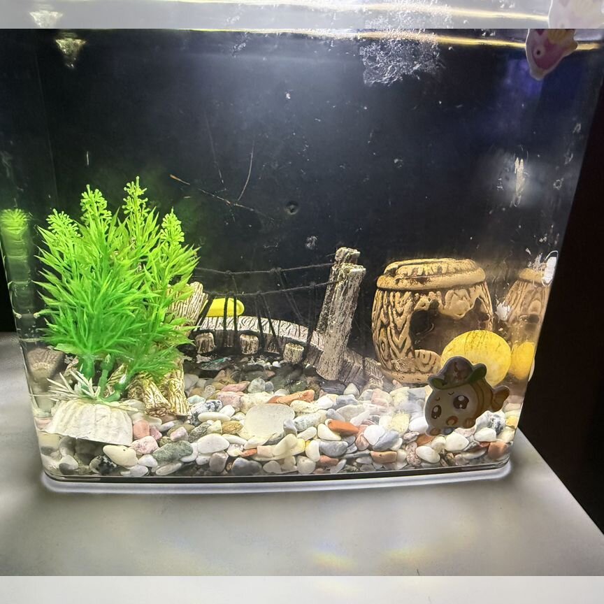 Аквариум 5 литров с рыбками