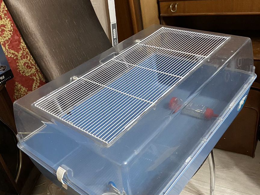 Клетка для грызунов ferplast большая