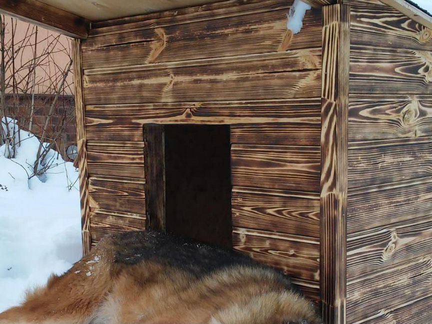 Будка для собаки