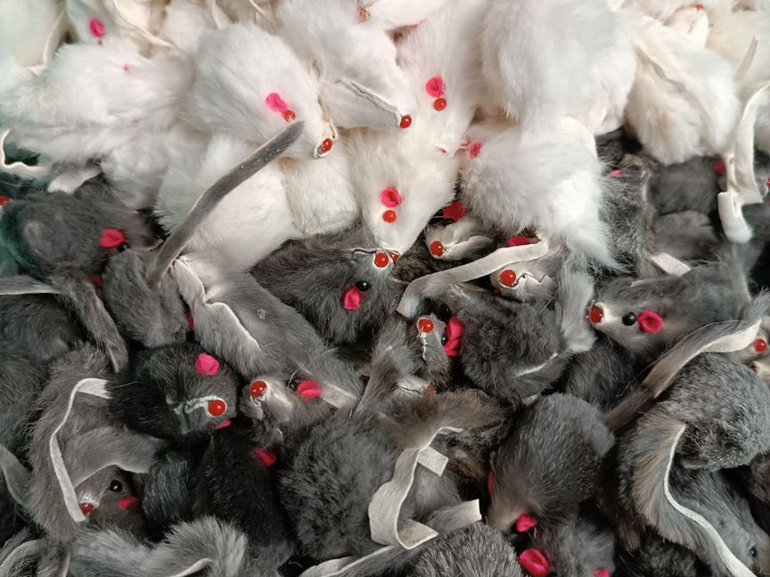 Мышки для кошек