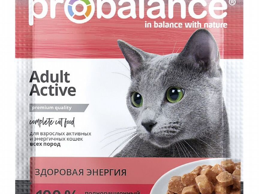 Корм влажный probalance