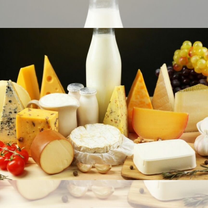 Продукция на корм для животных