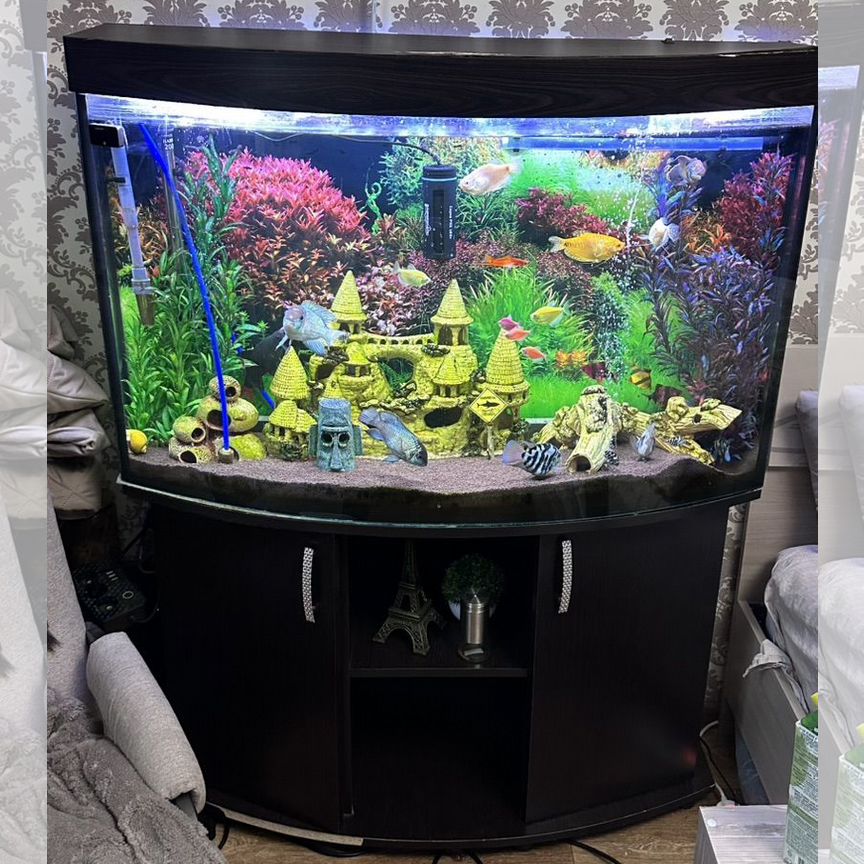 Аквариум панорамный с тумбой