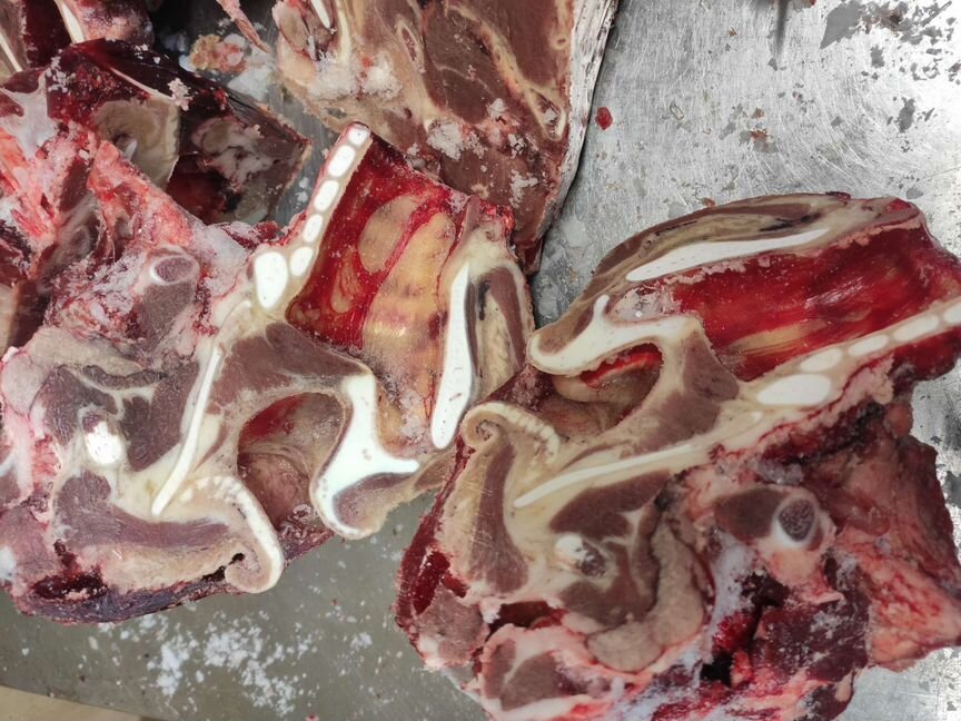 Калтык для собак. Натуральный корм. мясные обрези