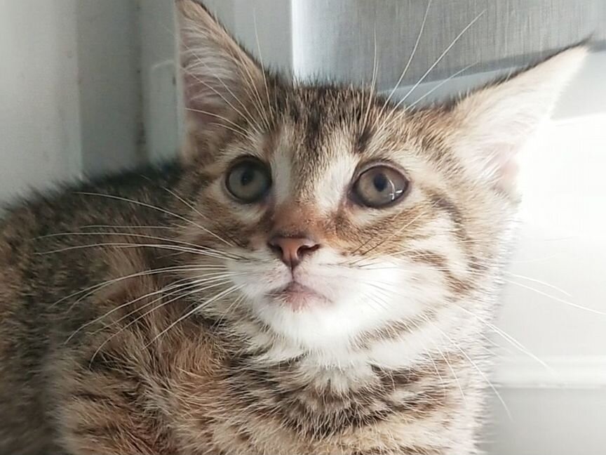 Малышка 1,5 месяца