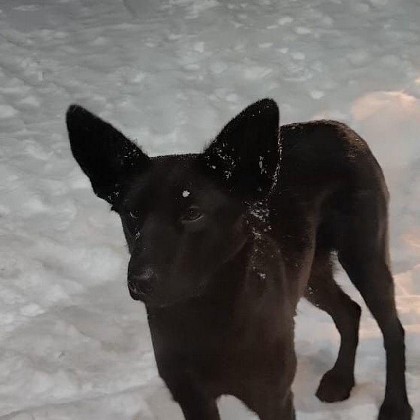 Им грозит опасность