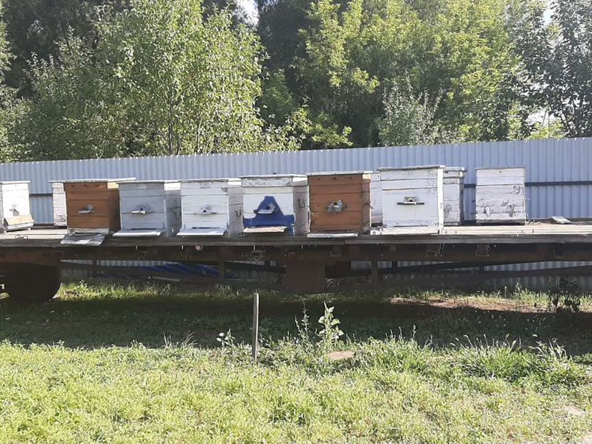 Улья, рамки, 2 платформы, будка