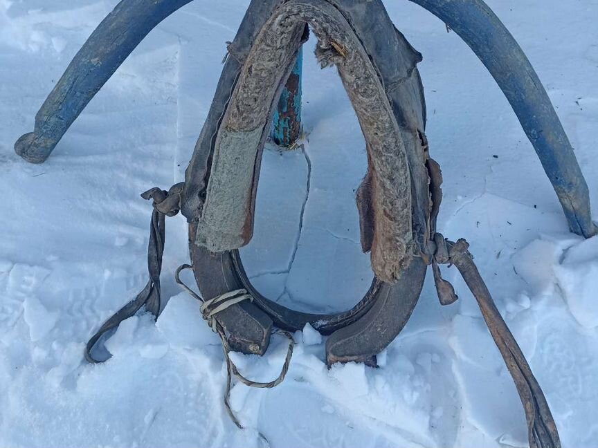 2 хомута, дуга, 3 сидельник