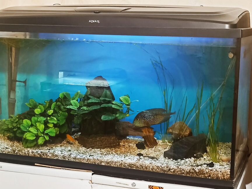 Аквариум 200 литров